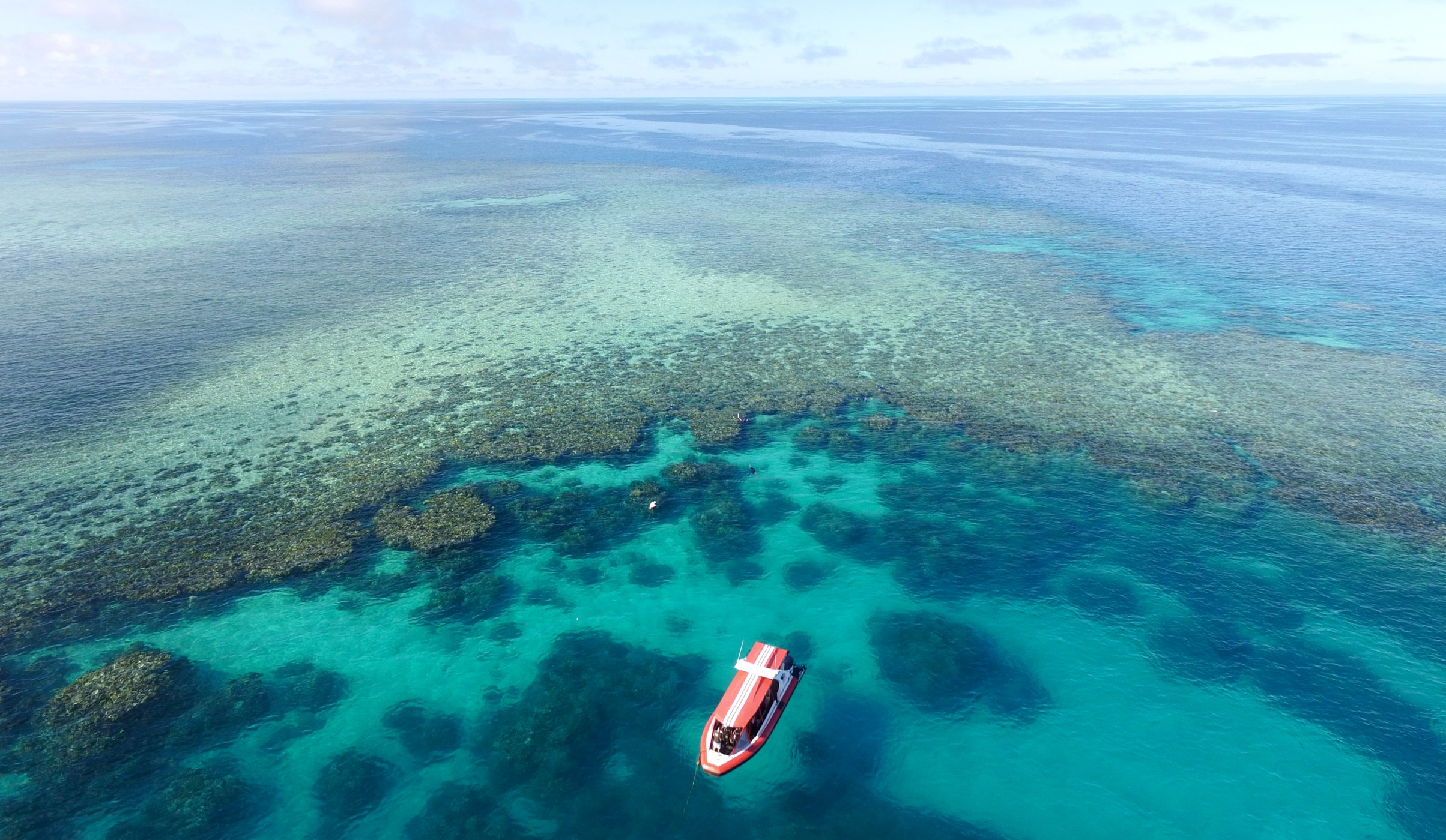 Outer Reef Tours in Port Douglas - Snorkel Tours | Reef Sprinter