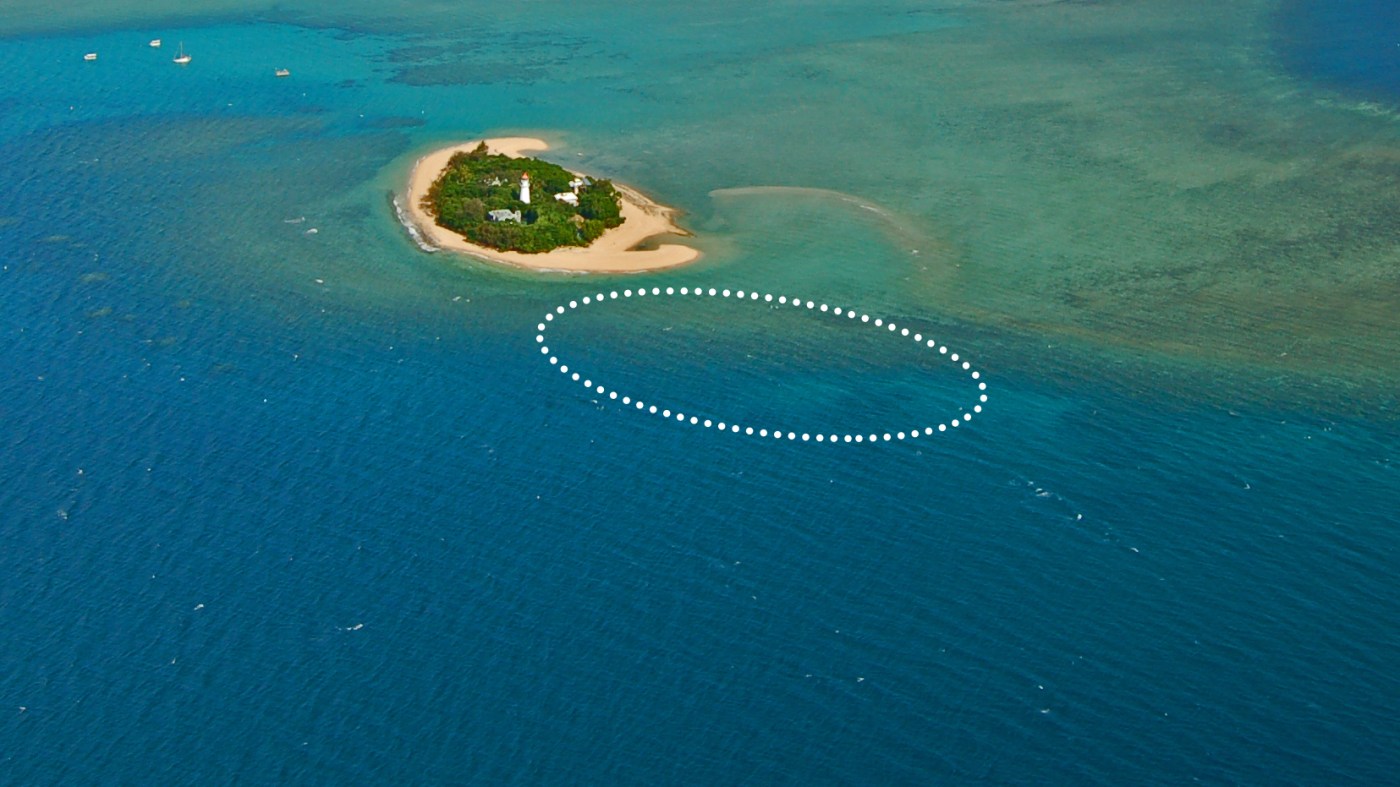 Lagoon & Low Isles Reef Snorkeling Tour | Reef Sprinter