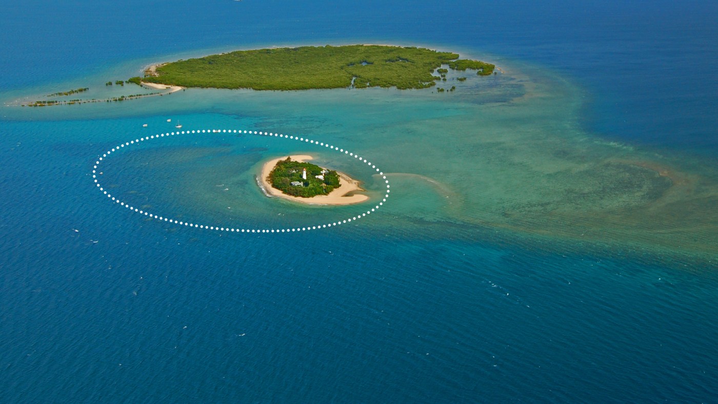 Low Island Snorkeling Tours in Port Douglas Lagoon | Reef Sprinter